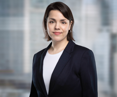 Anne Lewis - Koskie Minsky LLP
